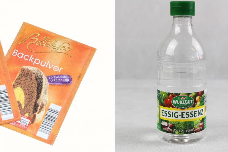 Boden saurer machen: pH-Wert senken ganz ohne Torf