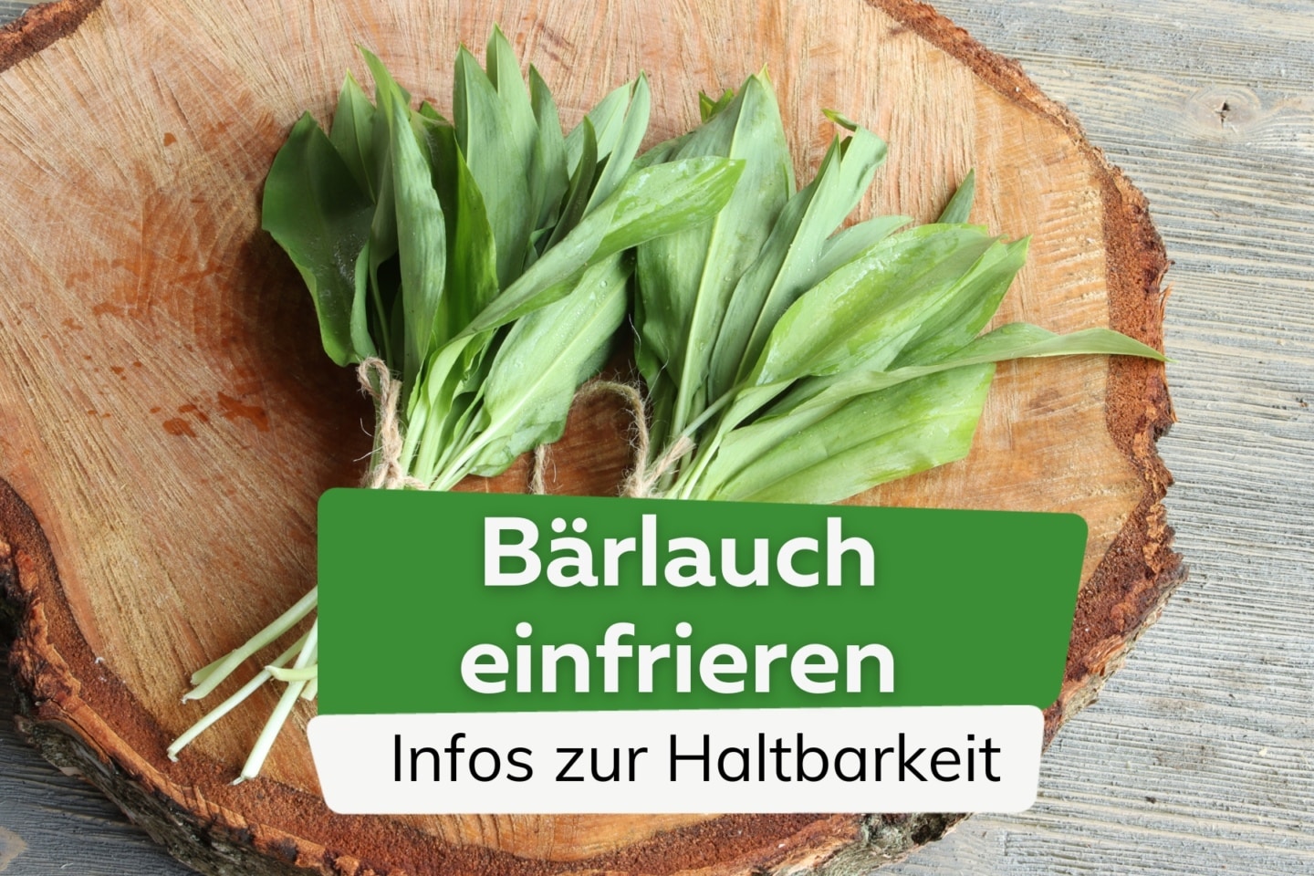 Bärlauch einfrieren: so geht es ganz einfach + Infos zur Haltbarkeit