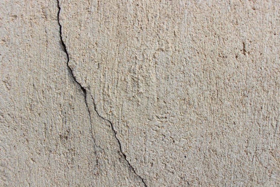 Efeu erfolgreich entfernen: 10 chemische und mechanische Wege