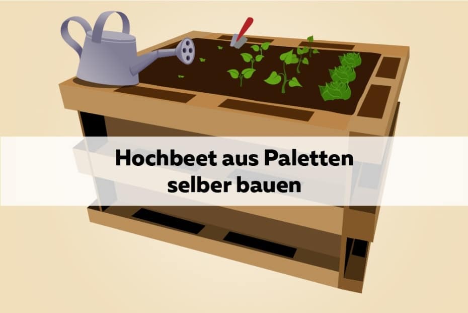 Hochbeet aus Paletten selber bauen: DIY-Anleitung | Europaletten