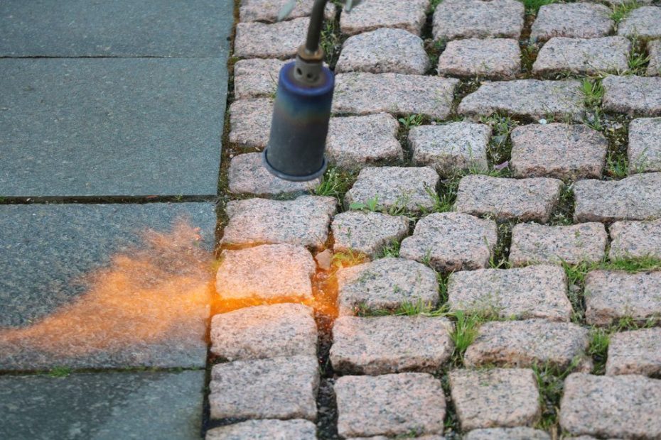 Unkraut Abflammen Verboten