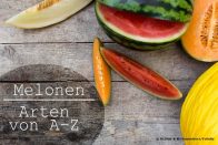 Melonenarten von A-Z | 12 Melonensorten bestimmen mit Bildern