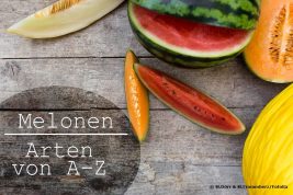 Melonenarten von A-Z | 12 Melonensorten bestimmen mit Bildern