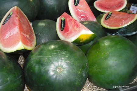 Melonenarten von A-Z | 12 Melonensorten bestimmen mit Bildern