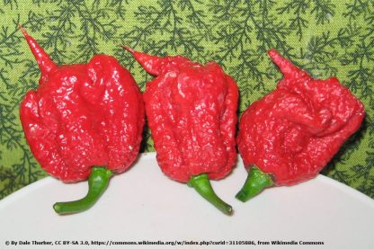 Die 10 schärfsten Chilisorten der Welt: Tabelle mit Scoville-Werten