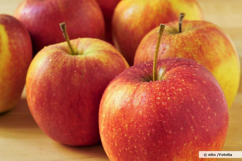 10 saure Apfelsorten | Äpfel mit viel Säure