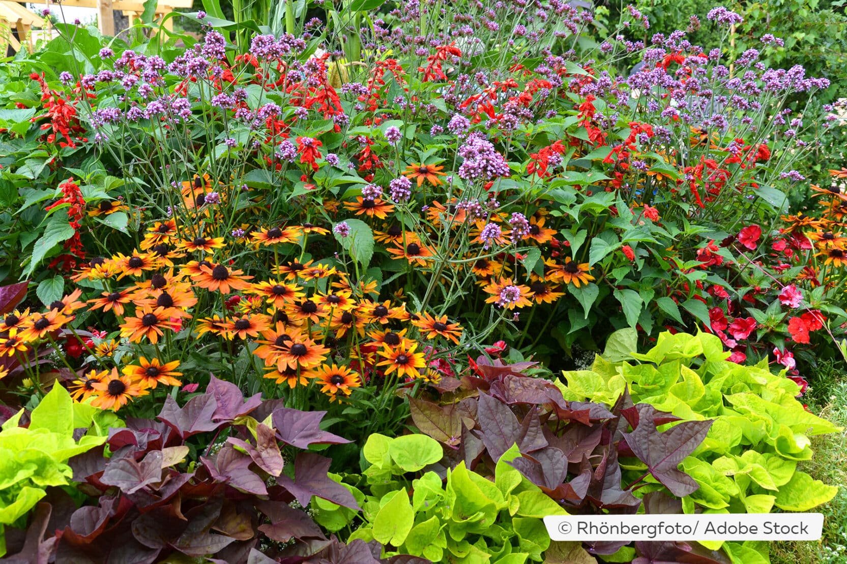 Staudenbeet Pflanzplan: 9 Ideen für Schatten und Sonne