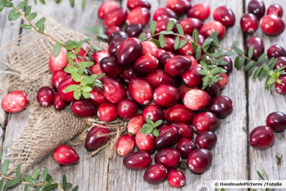 Kann Man Cranberries Roh Essen