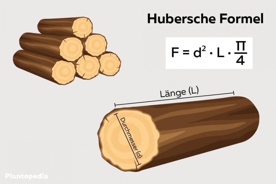 Festmeter Holz Berechnen