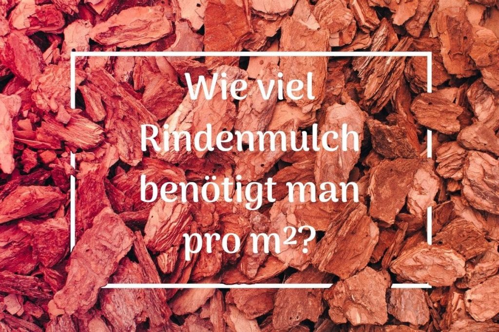 Wann sollte man Rindenmulch auftragen? | Wann und wie wird gemulcht?