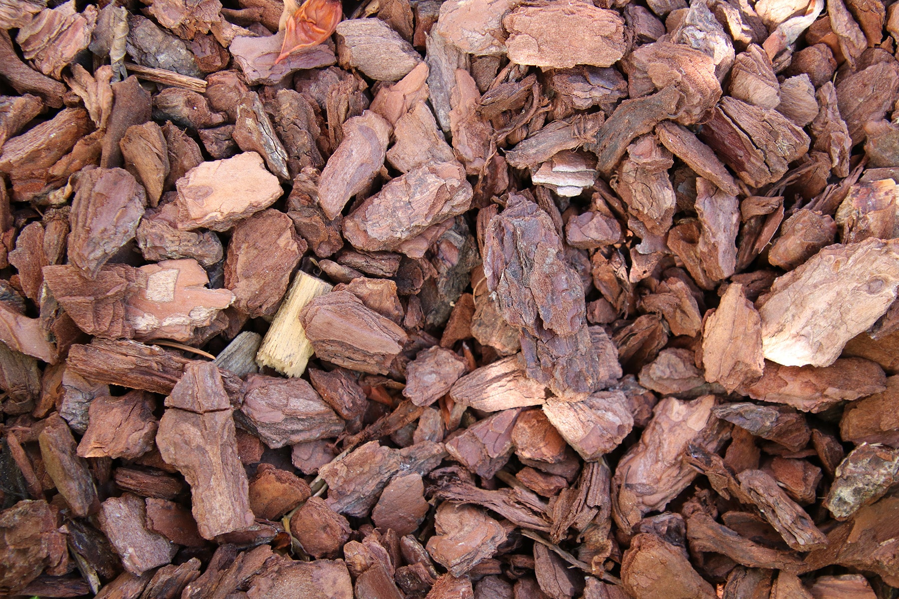 Wann sollte man Rindenmulch auftragen? | Wann und wie wird gemulcht?