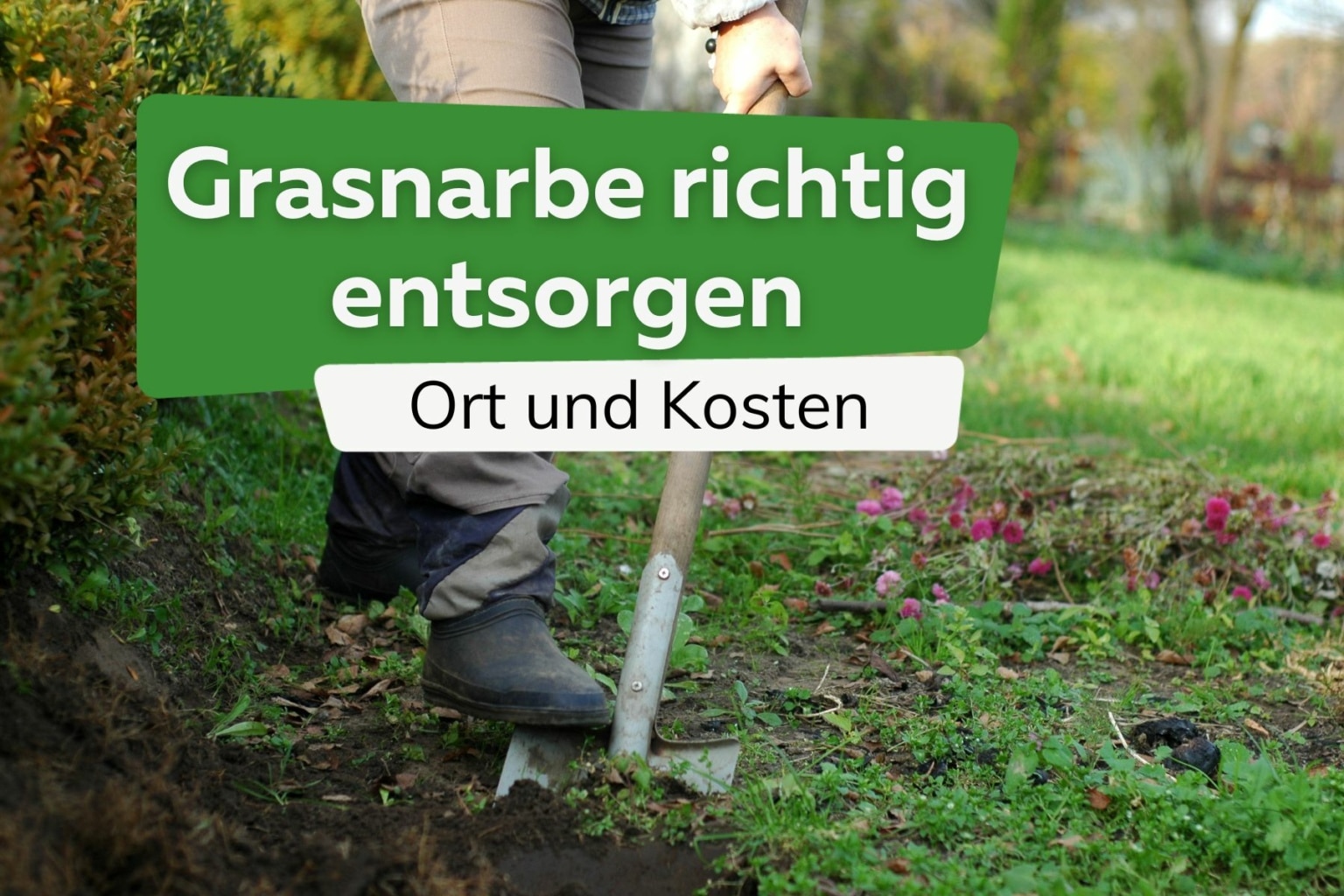 Grasnarbe richtig entsorgen: Ort und Kosten