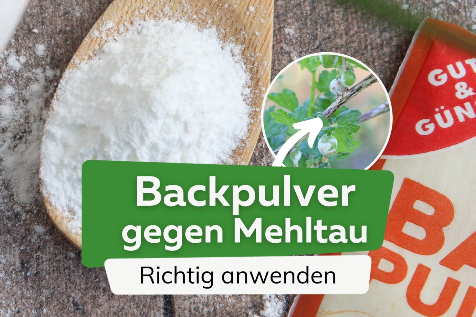 Mehltau Hausmittel Backpulver
