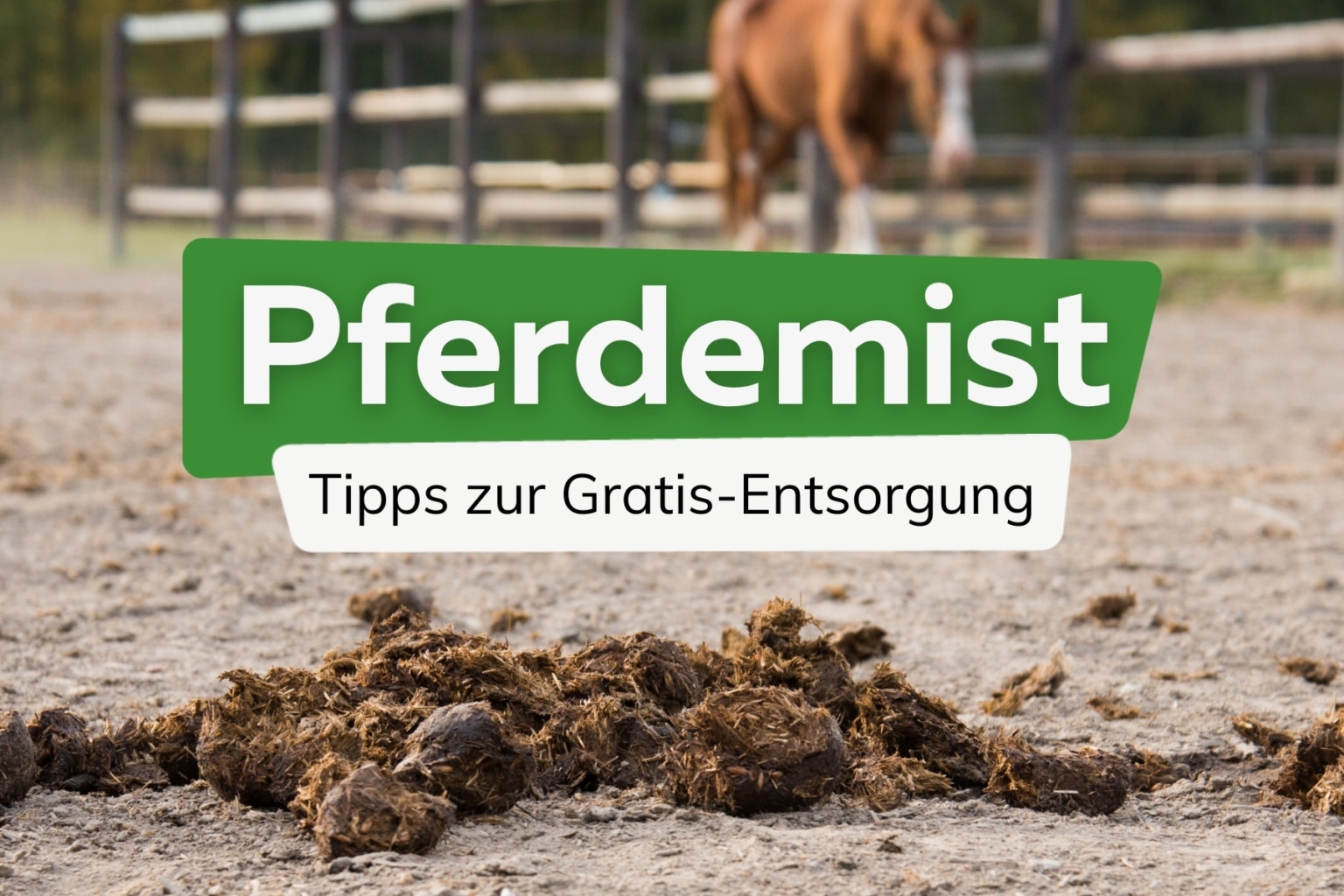 Pferdemist Wie Lange Ablagern