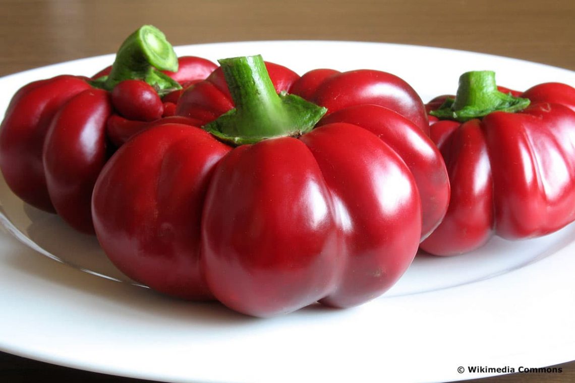 53 Paprikasorten: Liste von A-Z | Gemüsepaprika & Co
