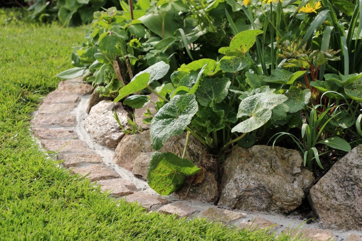 Gras und Rasen im Beet entfernen und verhindern