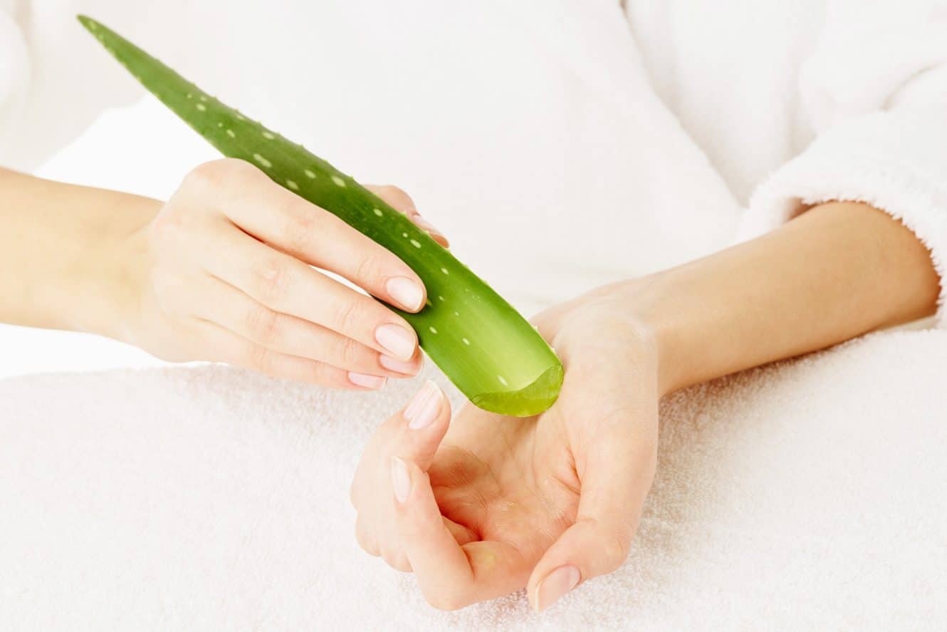Kann Man Aloe Vera Direkt Auf Die Haut Auftragen