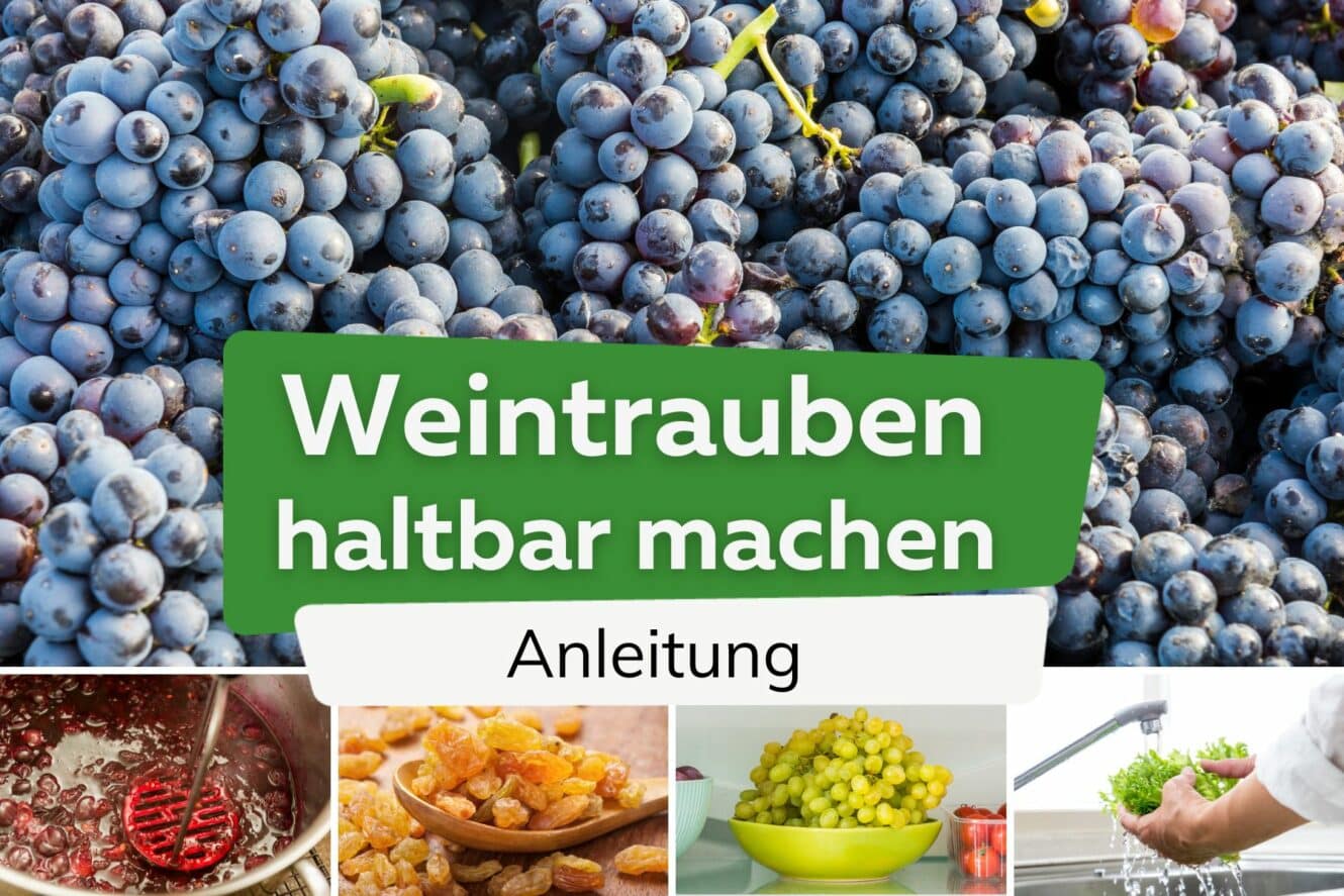 Haltbar Zuverlassig 5 Buchstaben