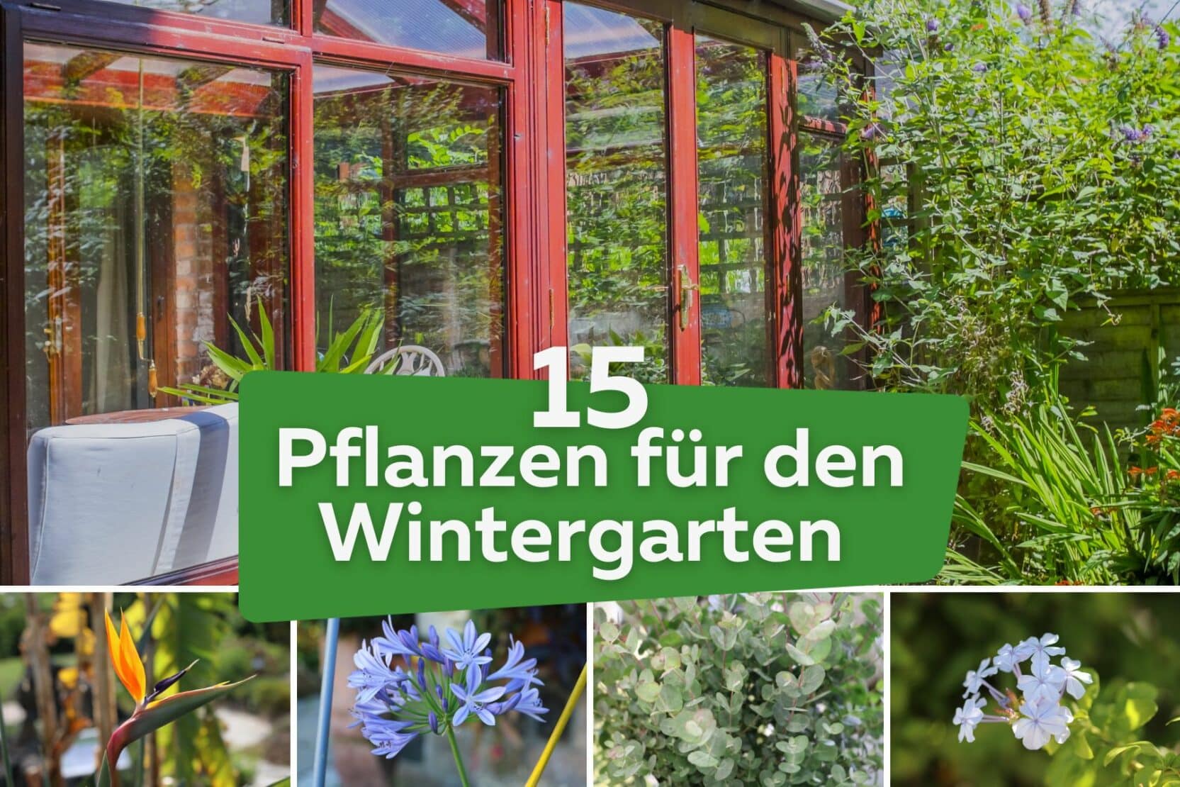 Die besten 15 Pflanzen für den Wintergarten