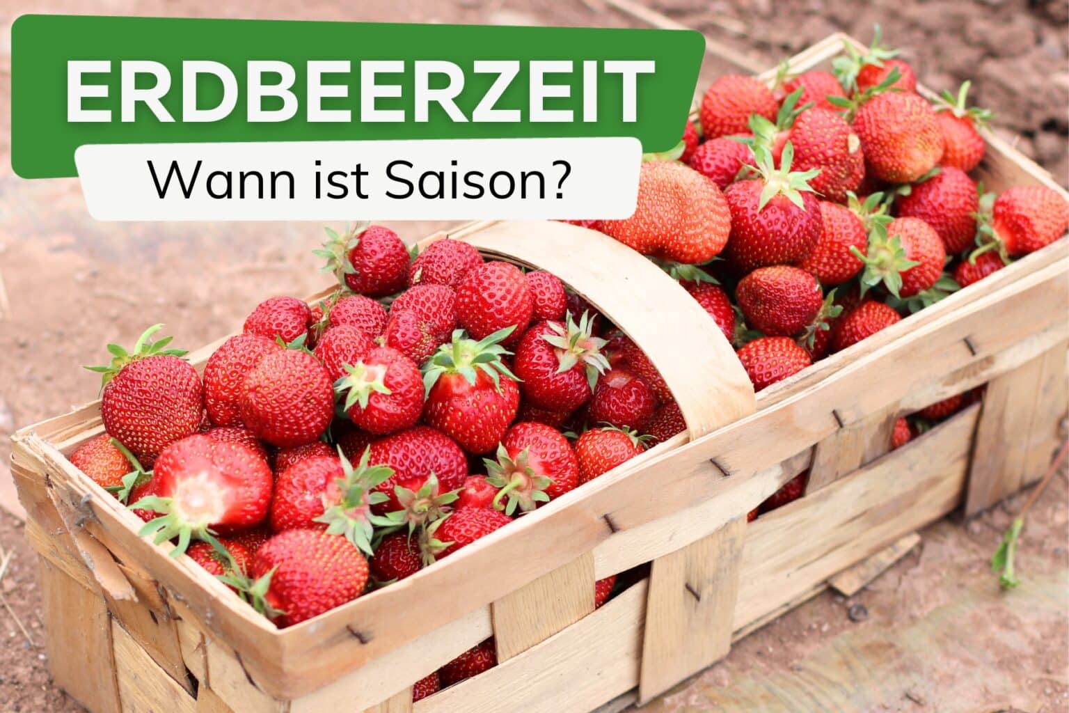 Erdbeeren Dungen Wann