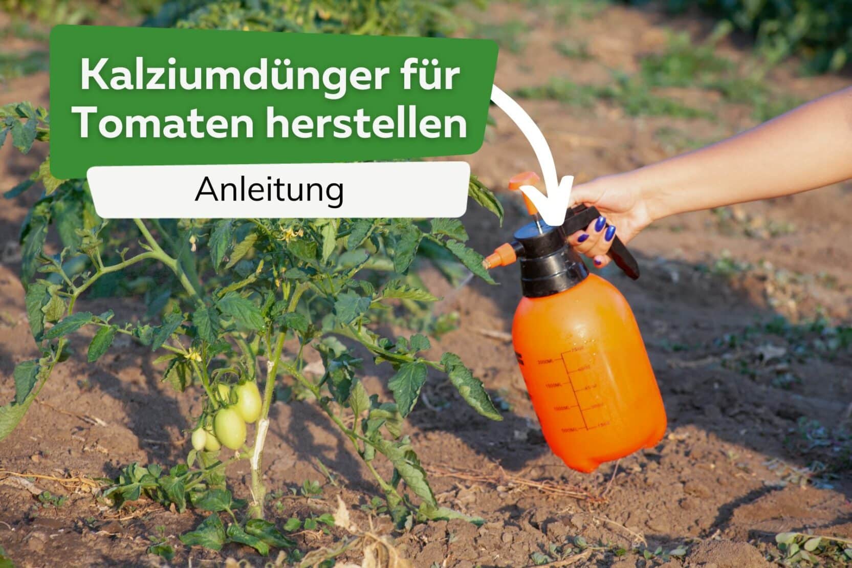 Calcium Dnger Selbst Herstellen