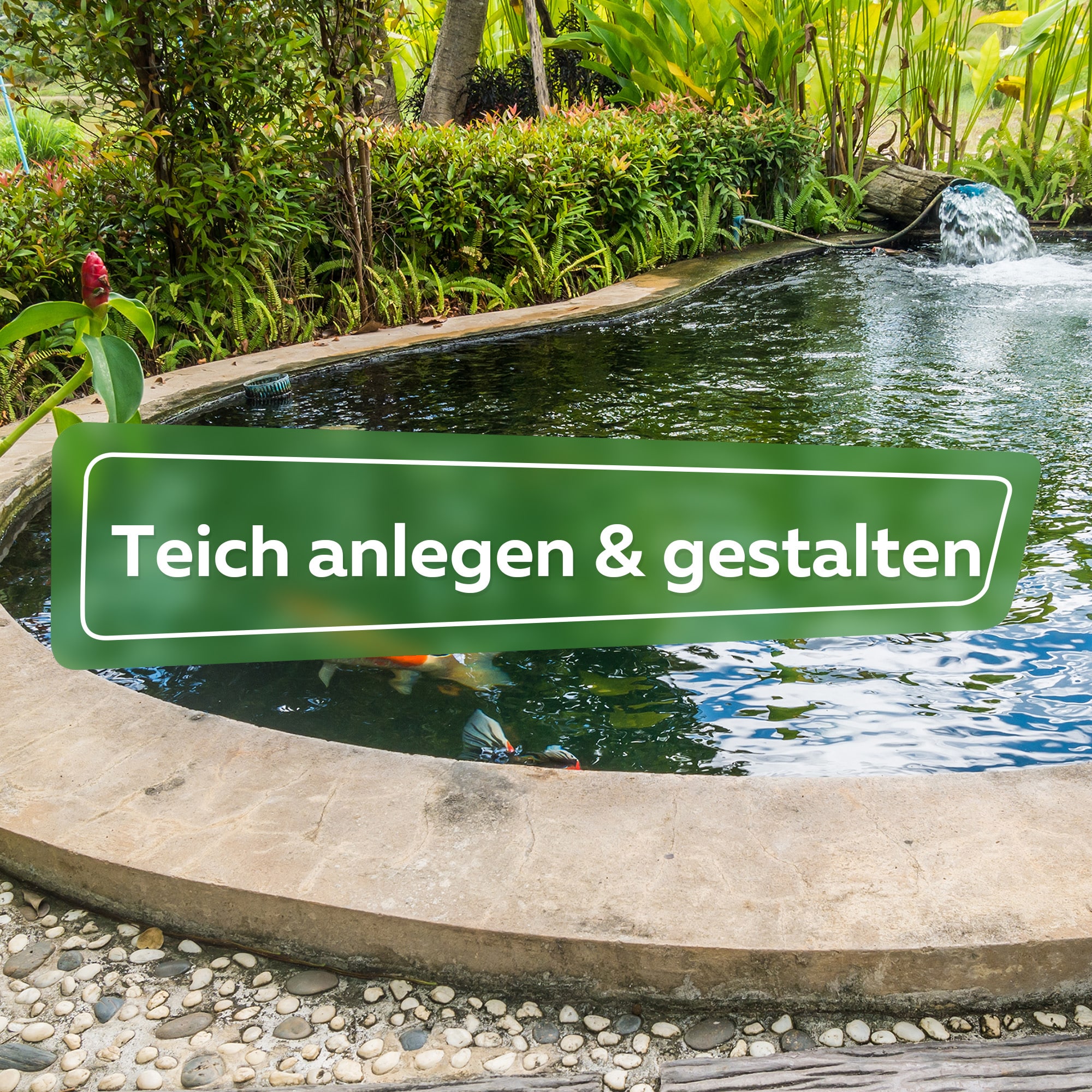 Teich anlegen & gestalten Ratgeber - Hortica