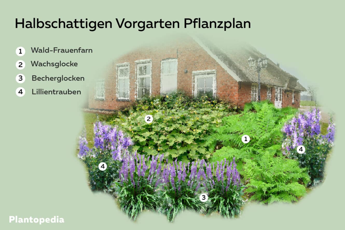 Wunderschone Vorgarten Gestalten Pflanzplan Ebenbild