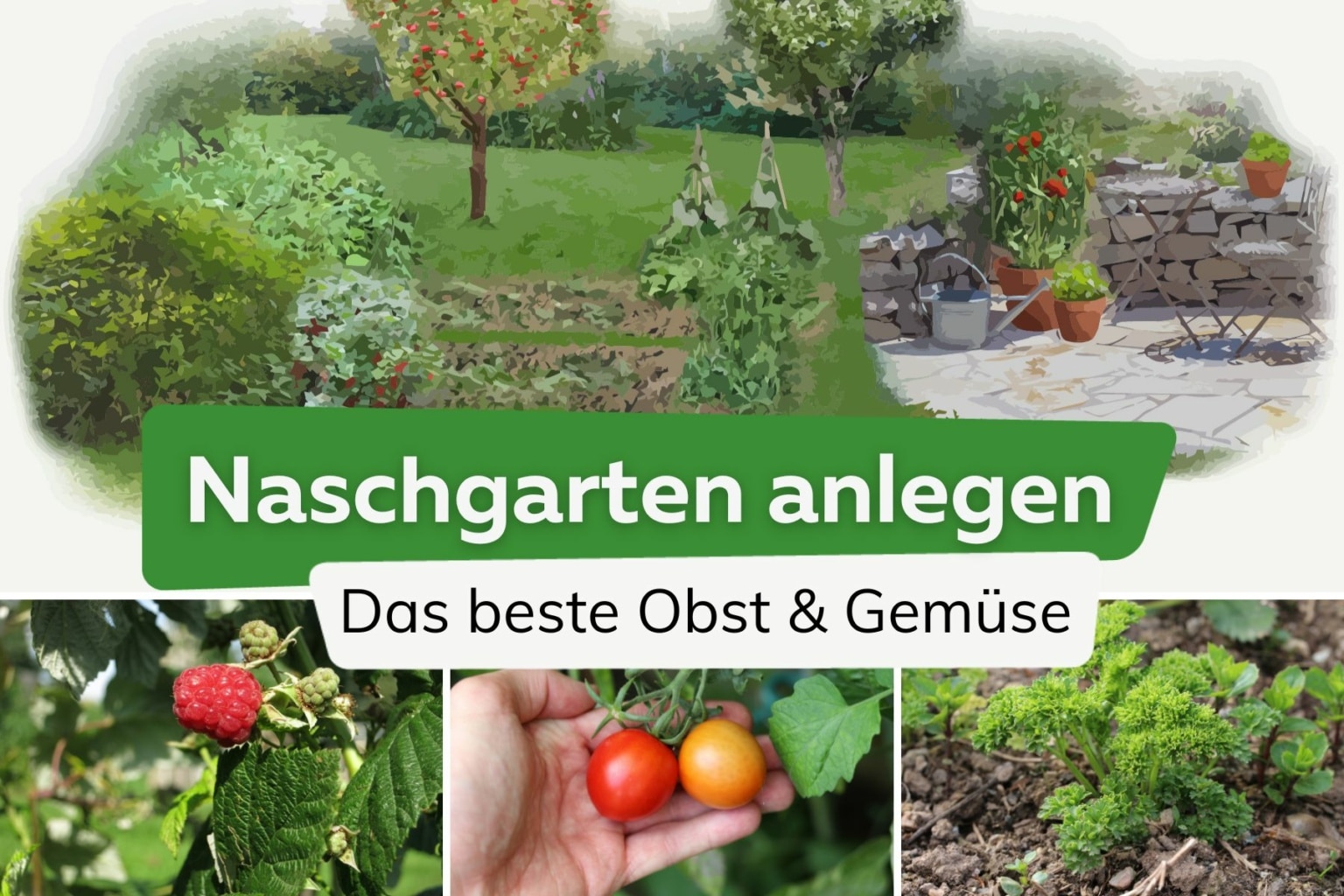 Erfahrungen mit Säulenobst: Vor- und Nachteile